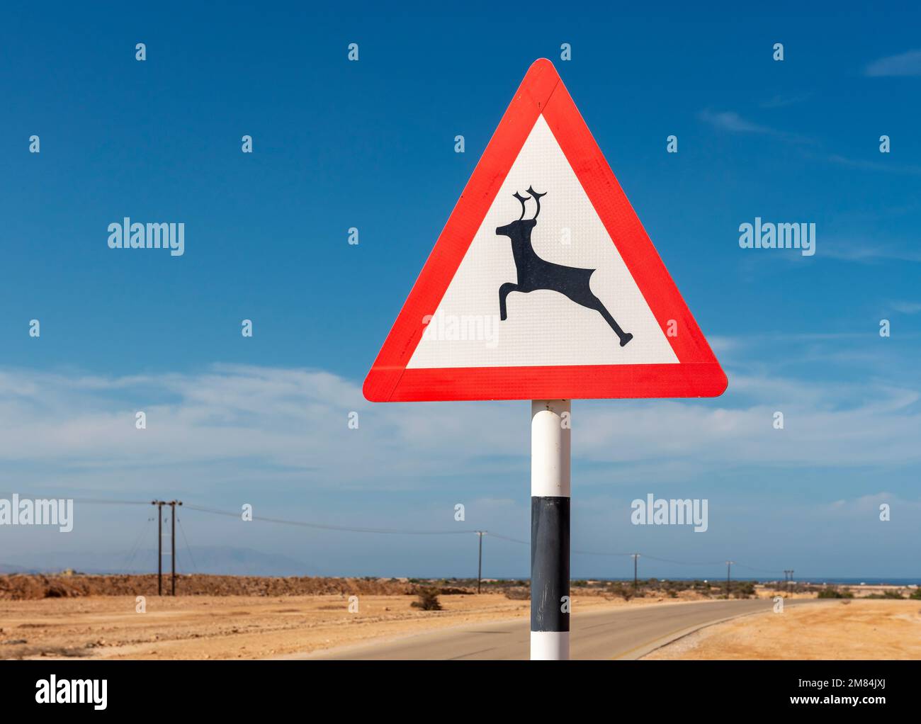 Wild animal warning road sign, Oman Stock Photo - Alamy