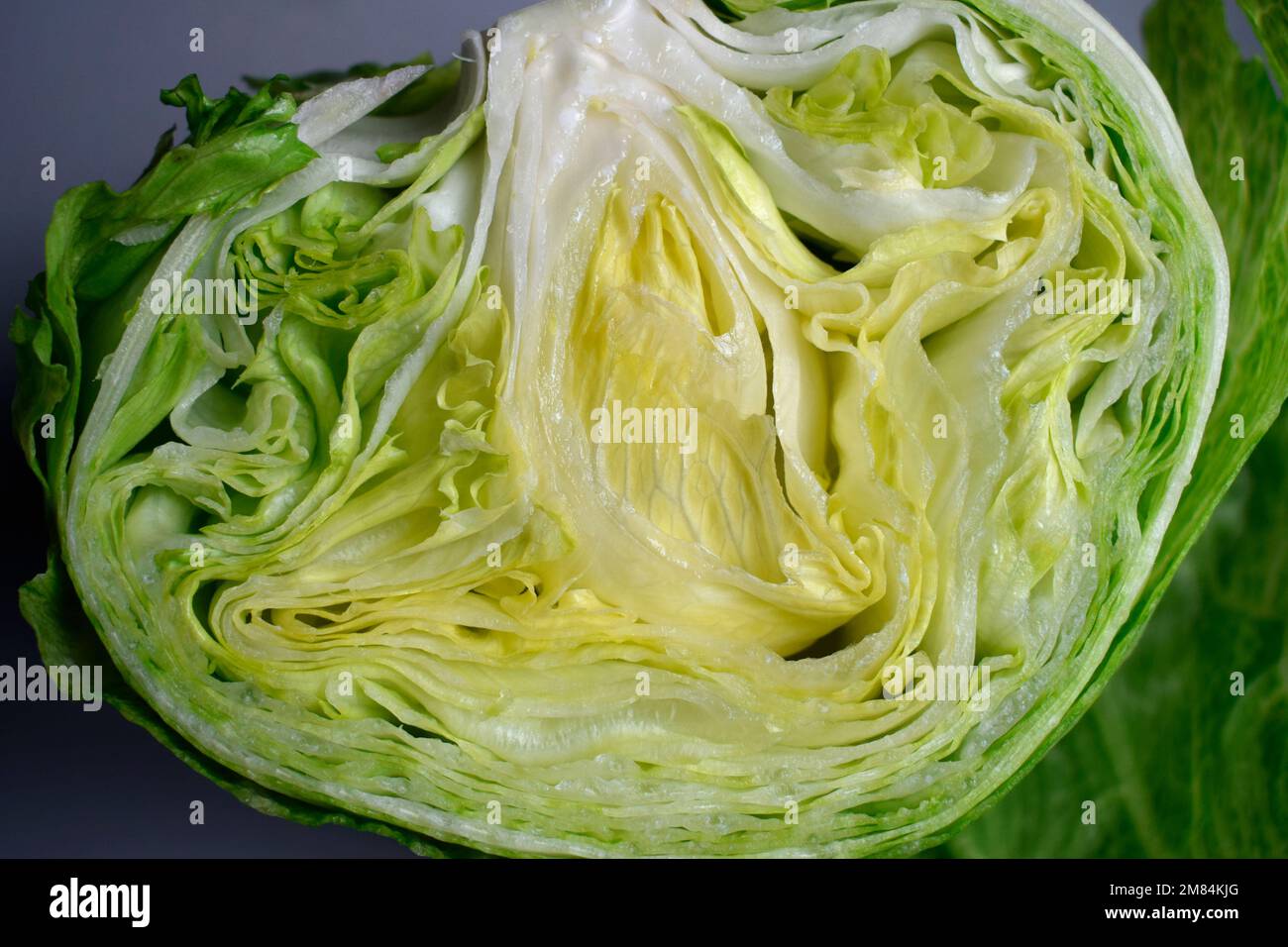 Iceberg lettuce cut in half Stock Photo - Alamy