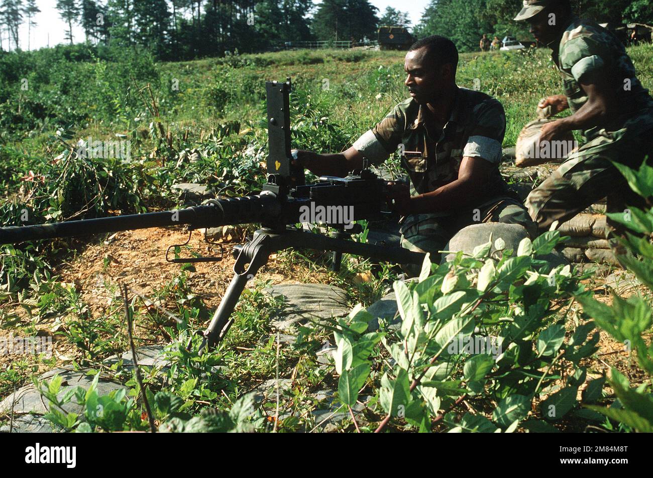 A Marine inspects an M-2 .50 caliber machine gun. Base: Marine Corps ...