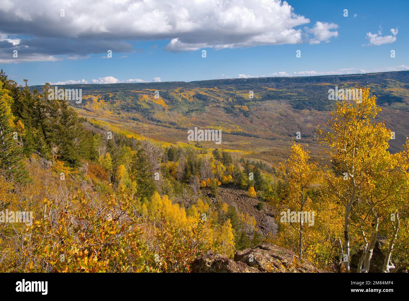 Lands end observatory hi-res stock photography and images - Alamy