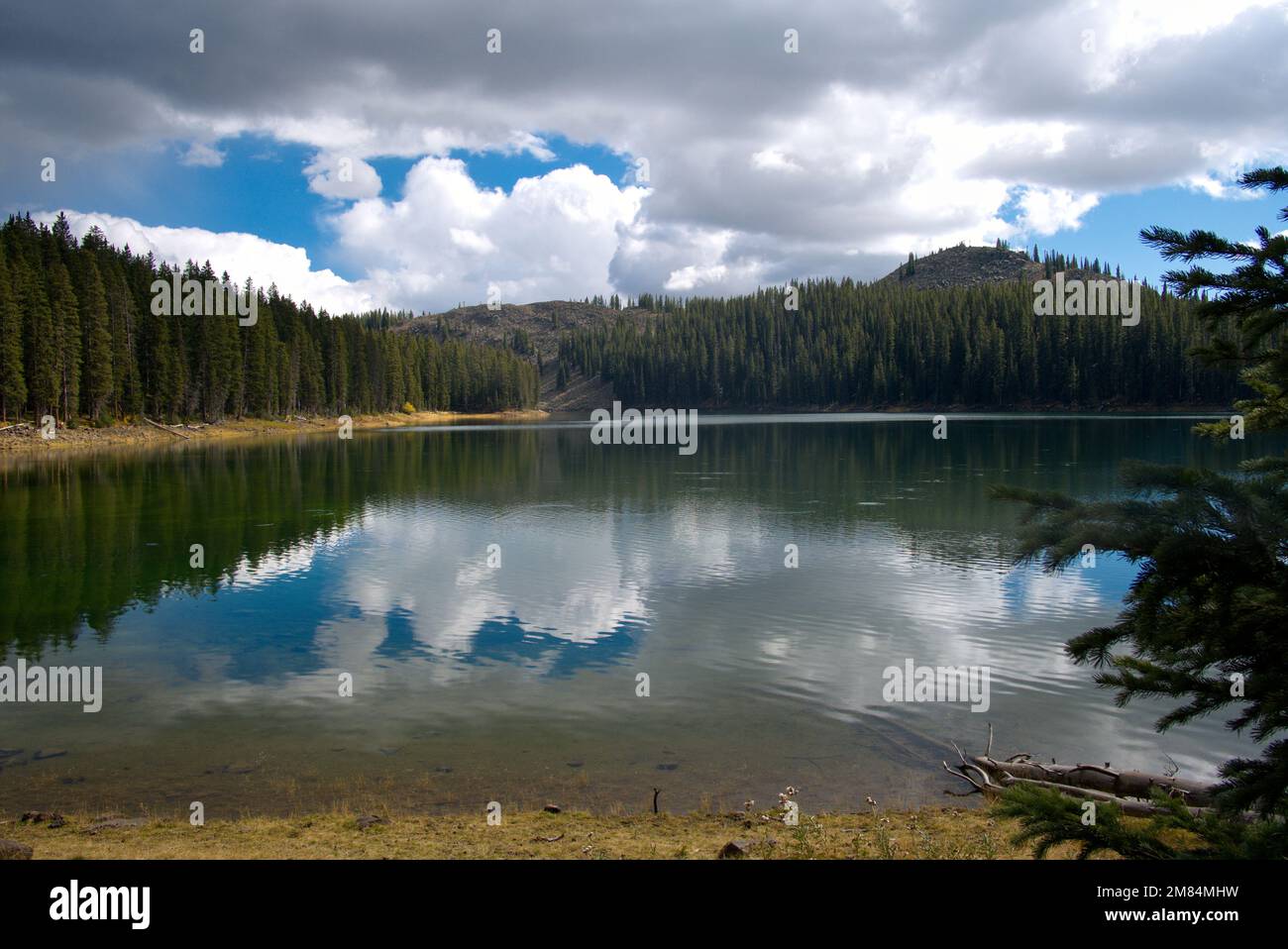 Looking across Leon Lake on Colorado's Grand Mesa Stock Photo - Alamy