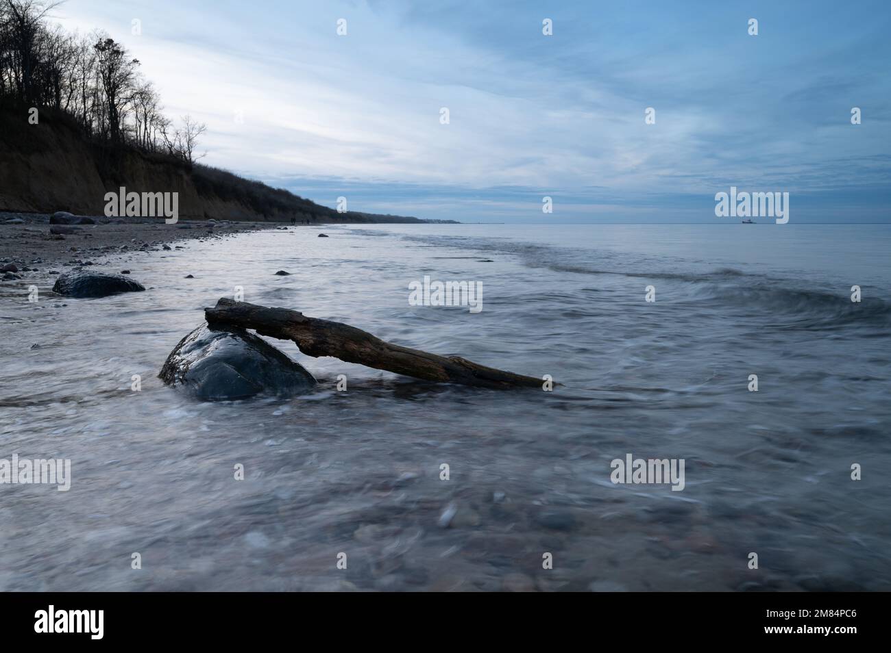 Baum im meer hi-res stock photography and images - Alamy