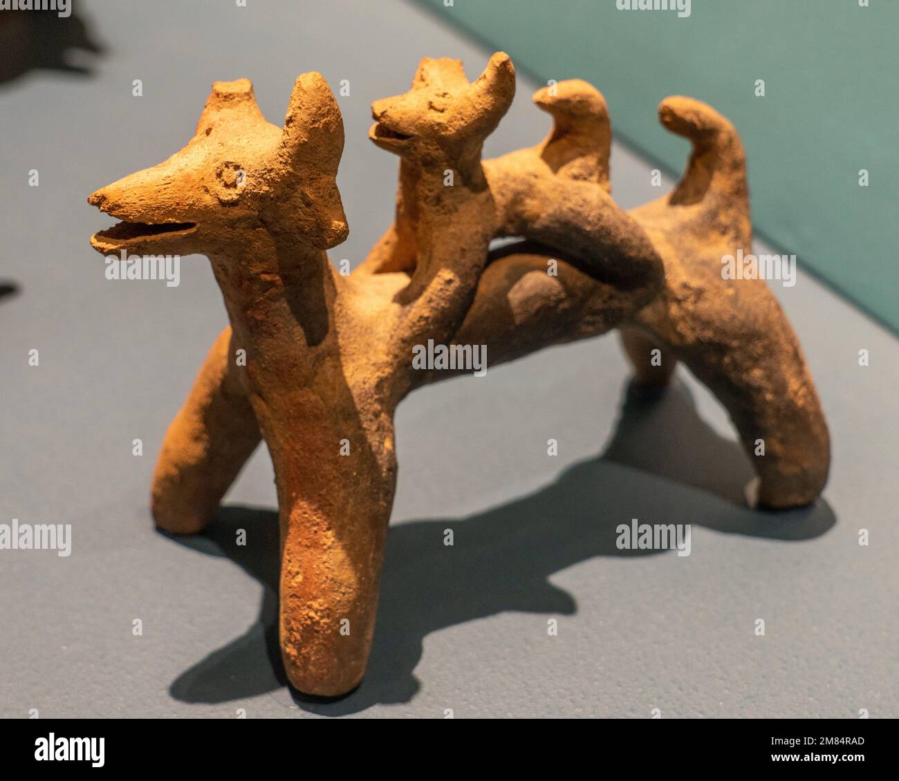 Pre-Hispanic ceramic figurine in the shape of a dog with a puppy on its ...