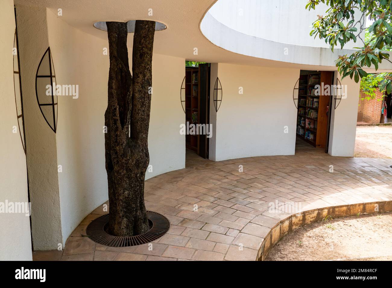 Tree growing through roof hi-res stock photography and images - Alamy