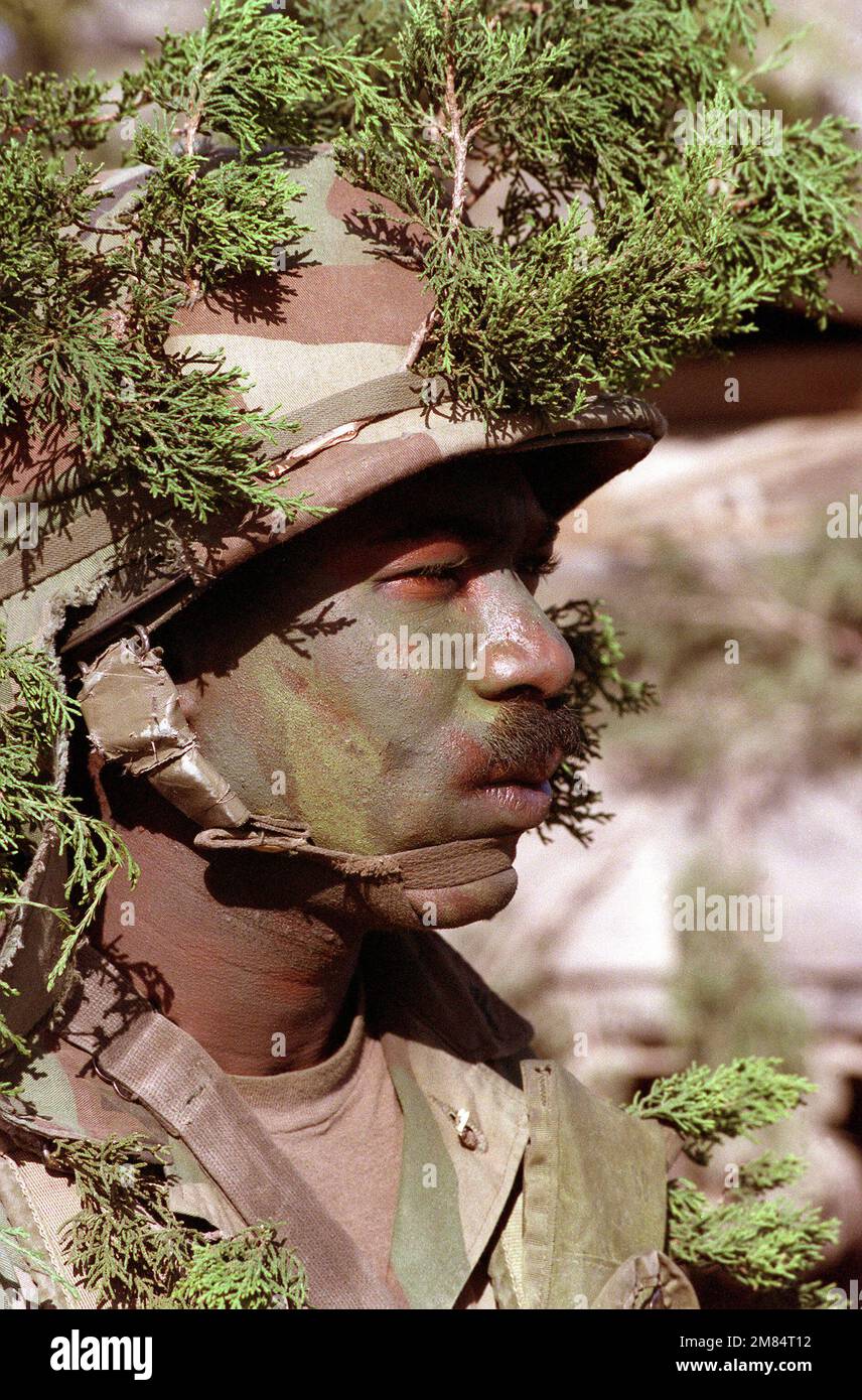 A camouflaged soldier of the 2nd Bn., 41st Inf., 2nd Armored Div ...