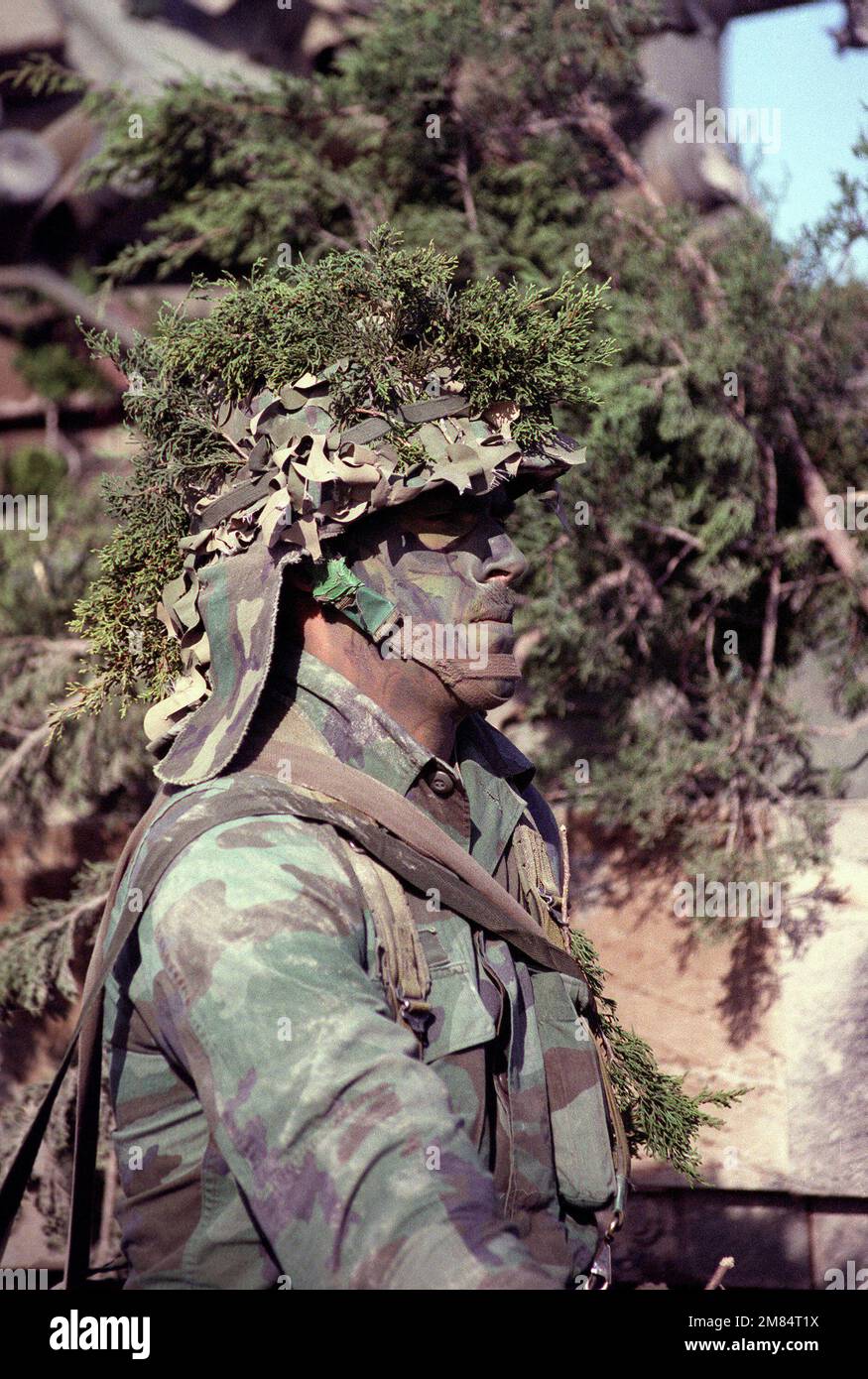 Camouflaged Soldier