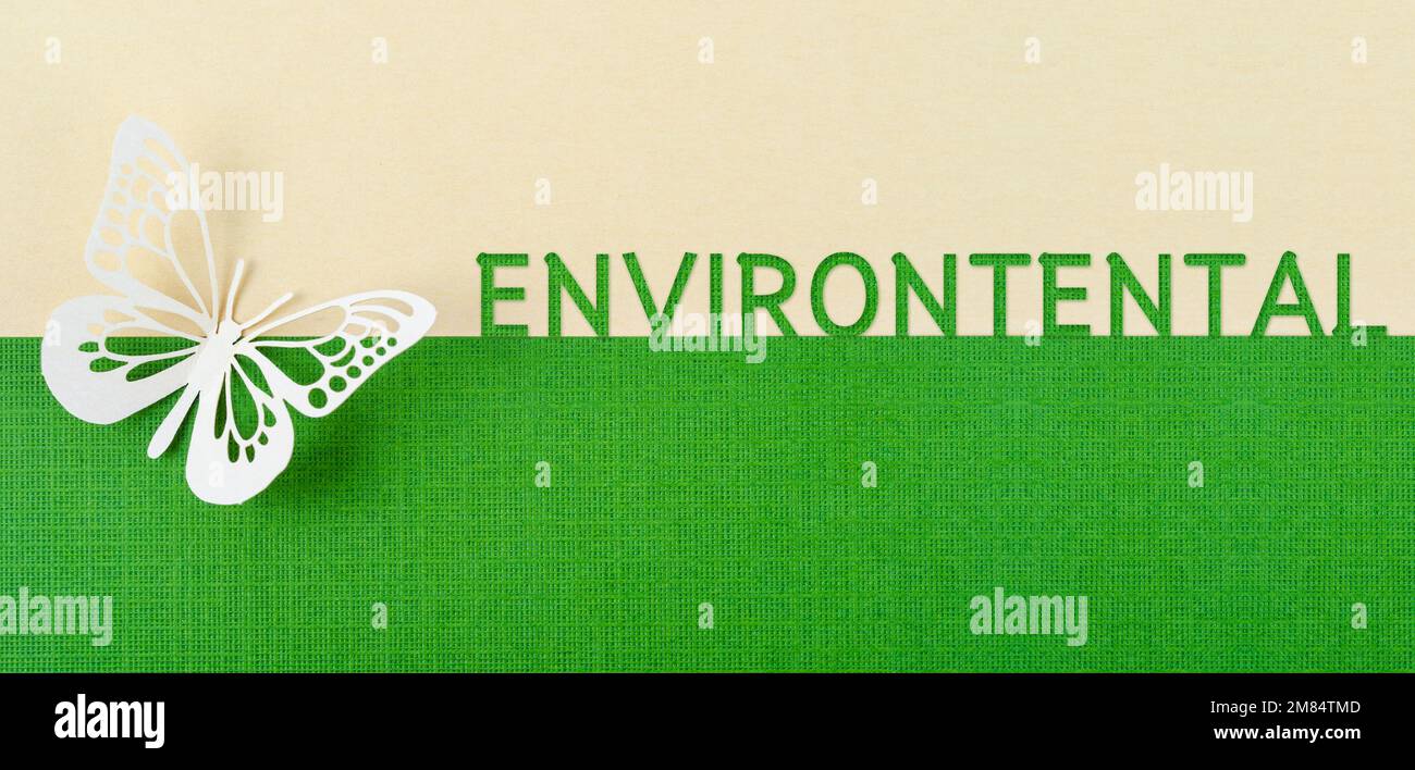 Green leaf origami butterfly hi-res stock photography and images - Alamy