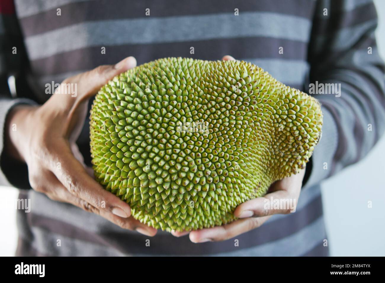 Jackfruit holding hi-res stock photography and images - Alamy
