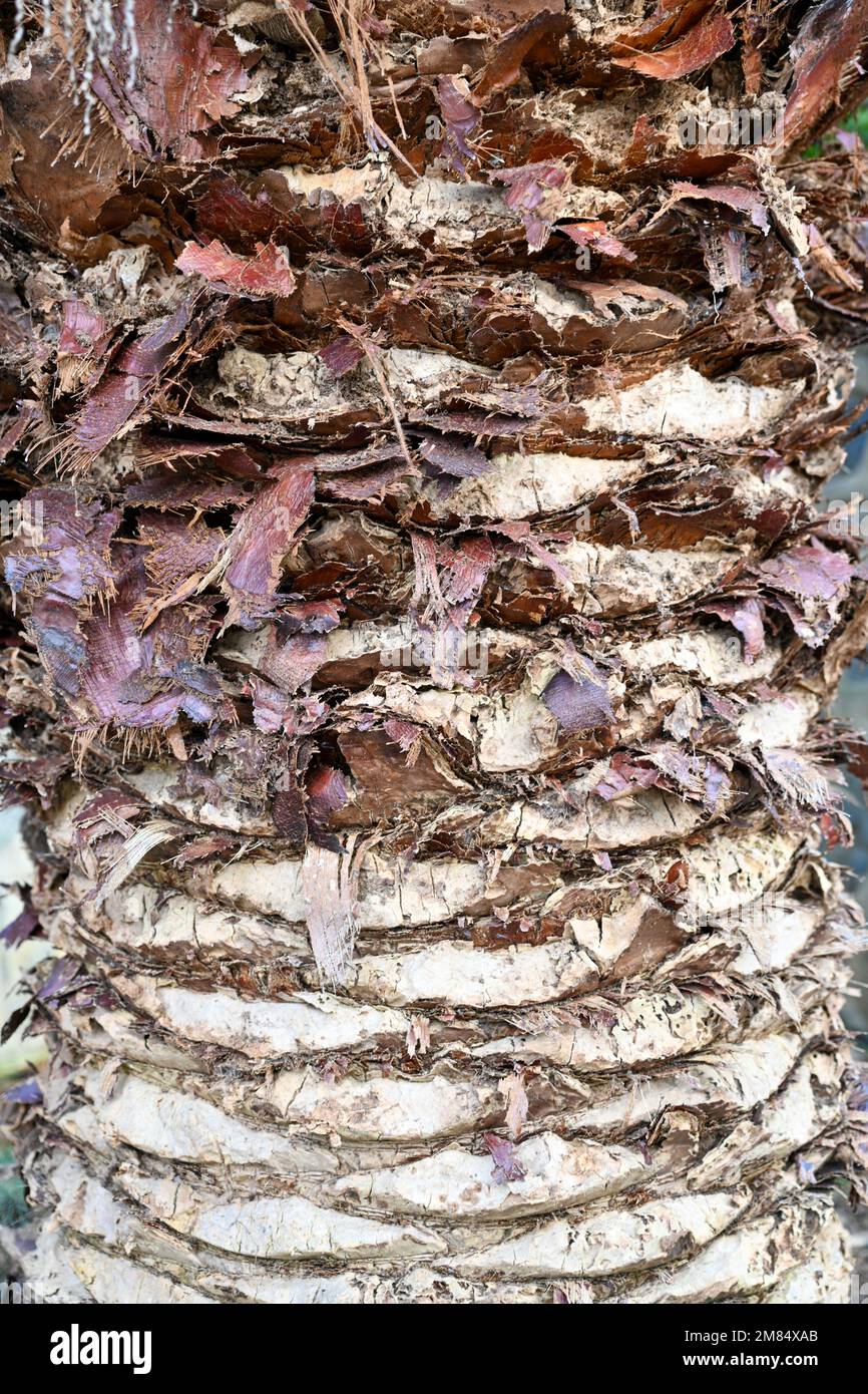 Close-up of cracked clay soil texture, natural earth layers background ...