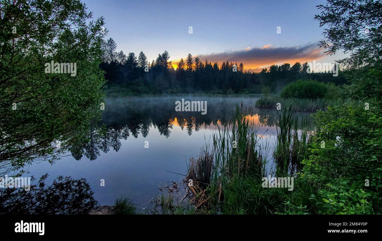 Spring Valley Reservoir in the summer Stock Photo - Alamy