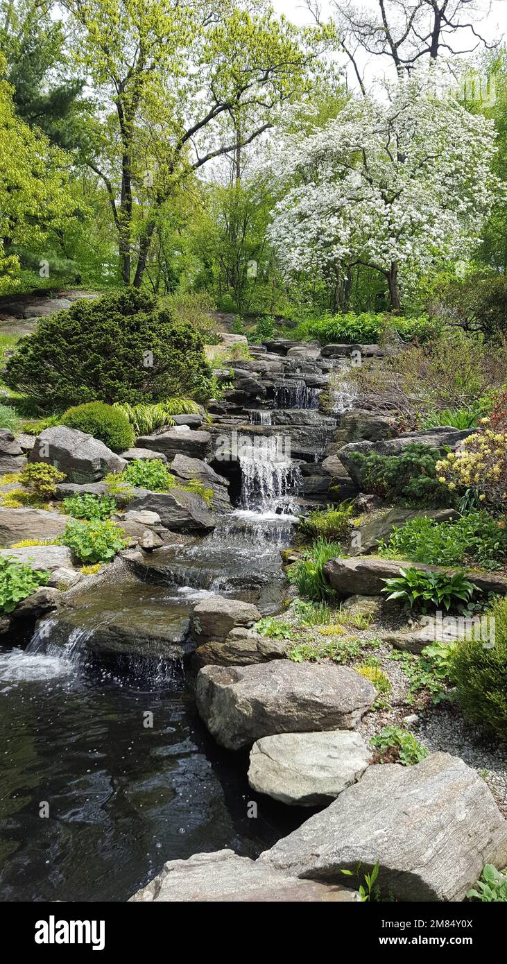beautiful flowing stream during the summer Stock Photo - Alamy