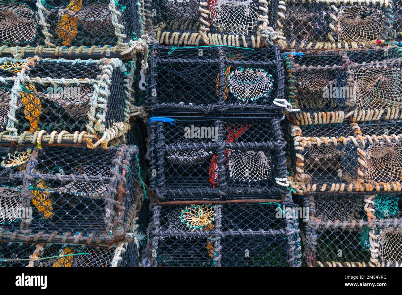 Fishing rod equipment icon hi-res stock photography and images - Alamy