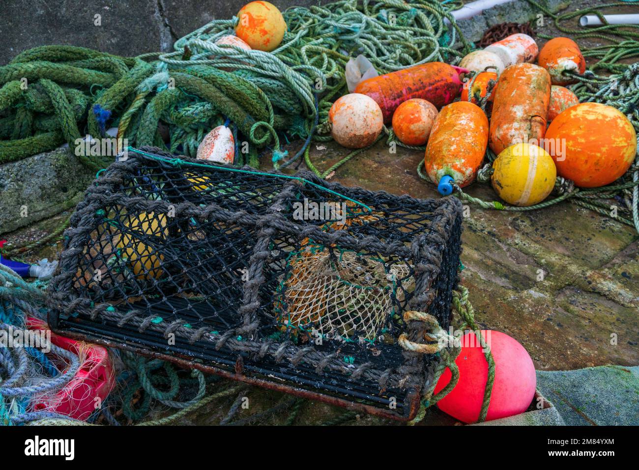 Fish trap ireland hi-res stock photography and images - Alamy