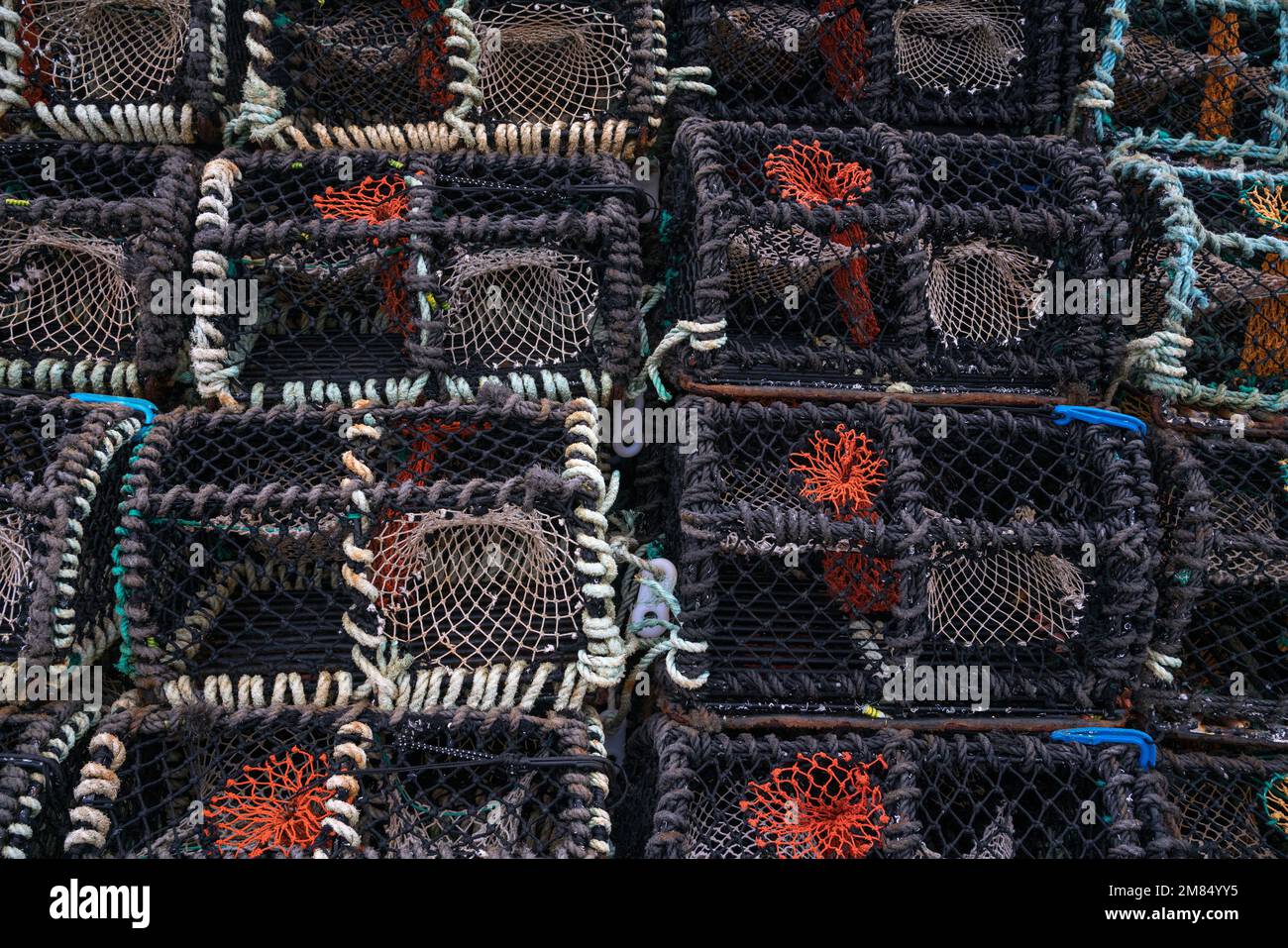 Fishing net vector hi-res stock photography and images - Alamy