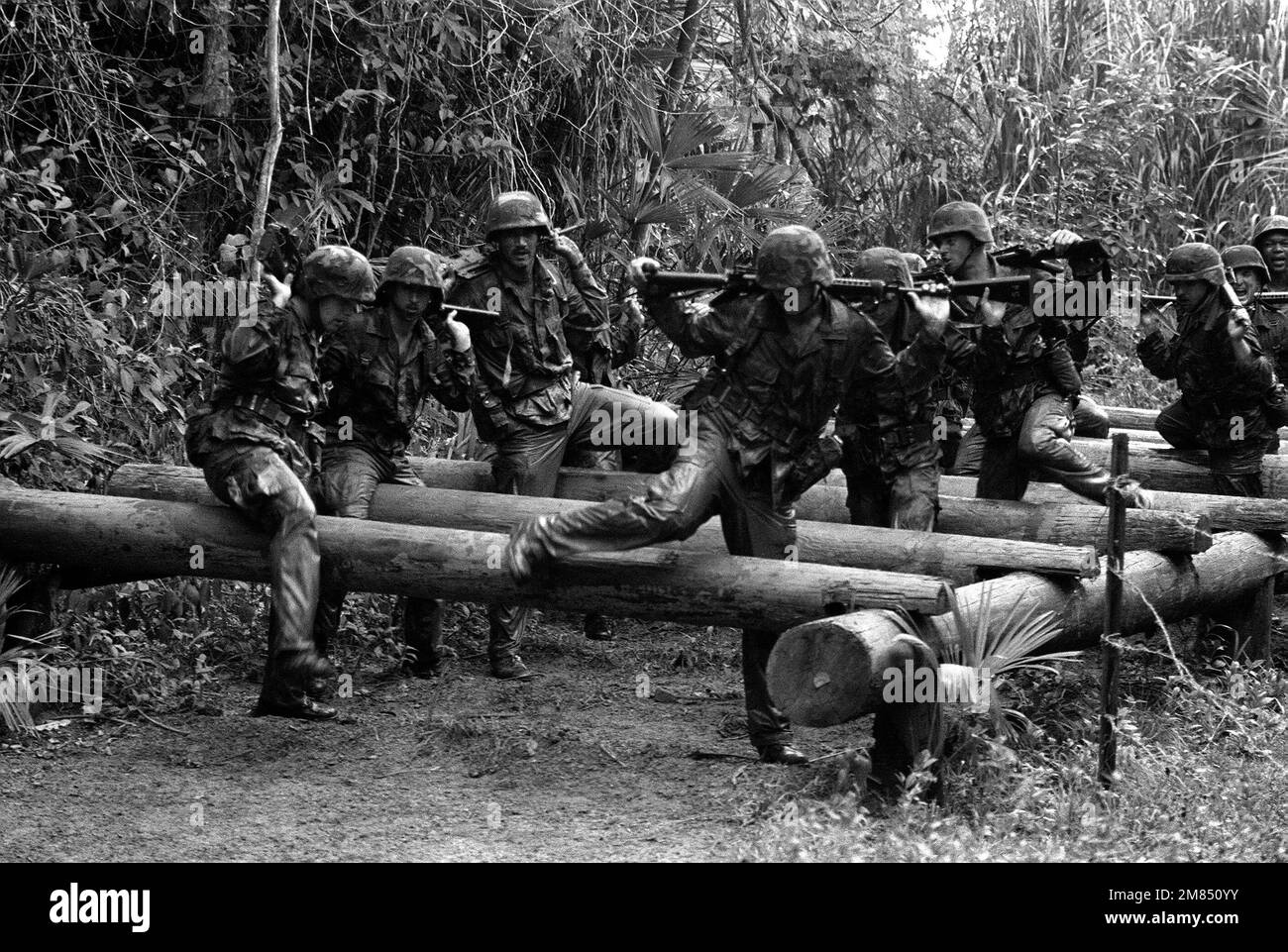 Members of the 1ST Battalion, 5th Marines, negotiate a log obstacle on ...