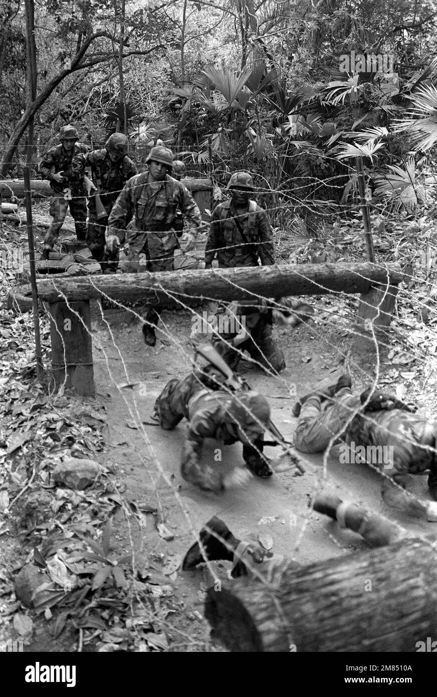 Members of the 1ST Battalion, 5th Marines, negotiate a high-crawl ...