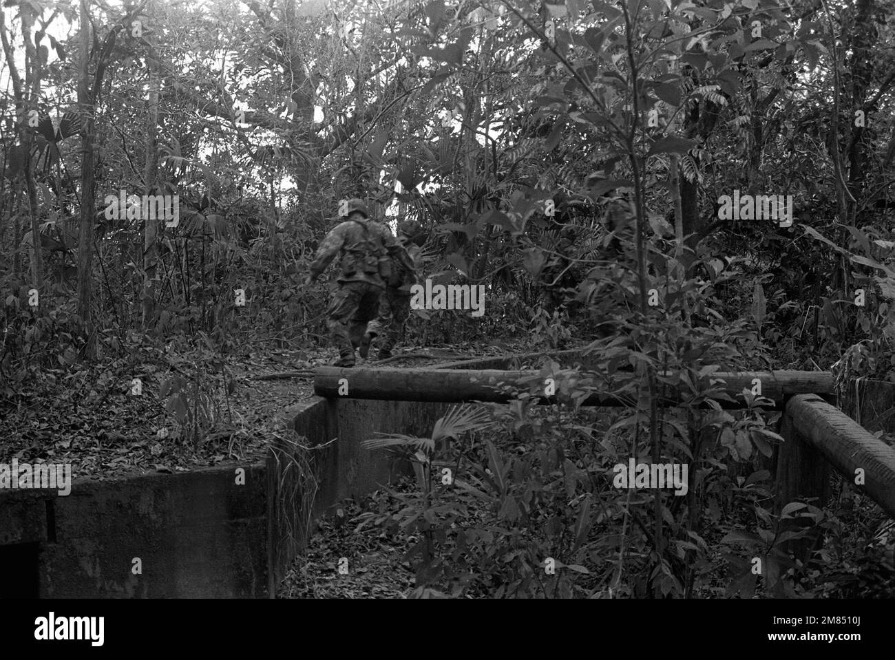 Members of the 1ST Battalion, 5th Marines, negotiate a log walk ...