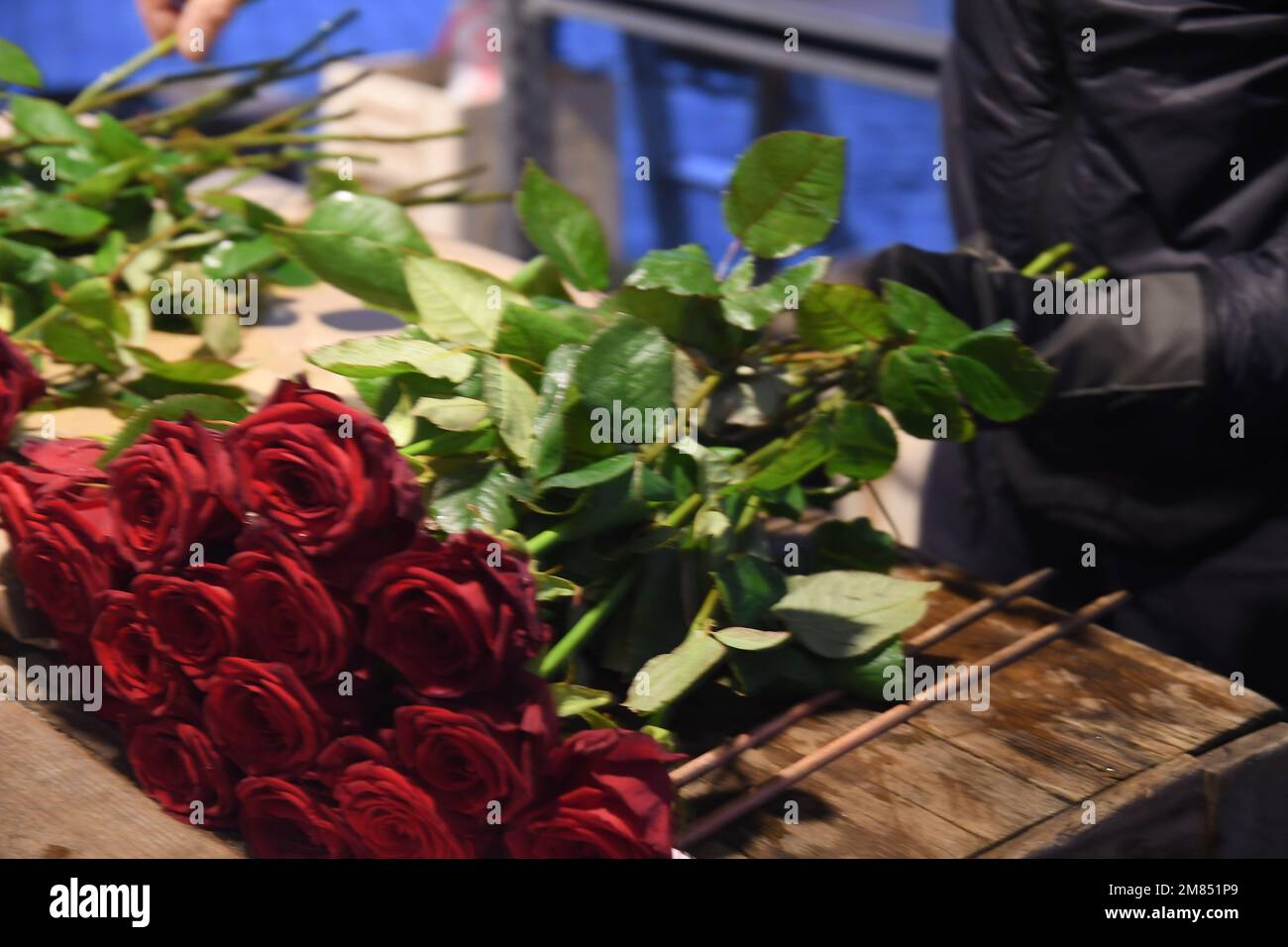 Copenhagen/Denmark/12 January 2023/ Red rose flowers making bouquest in ...