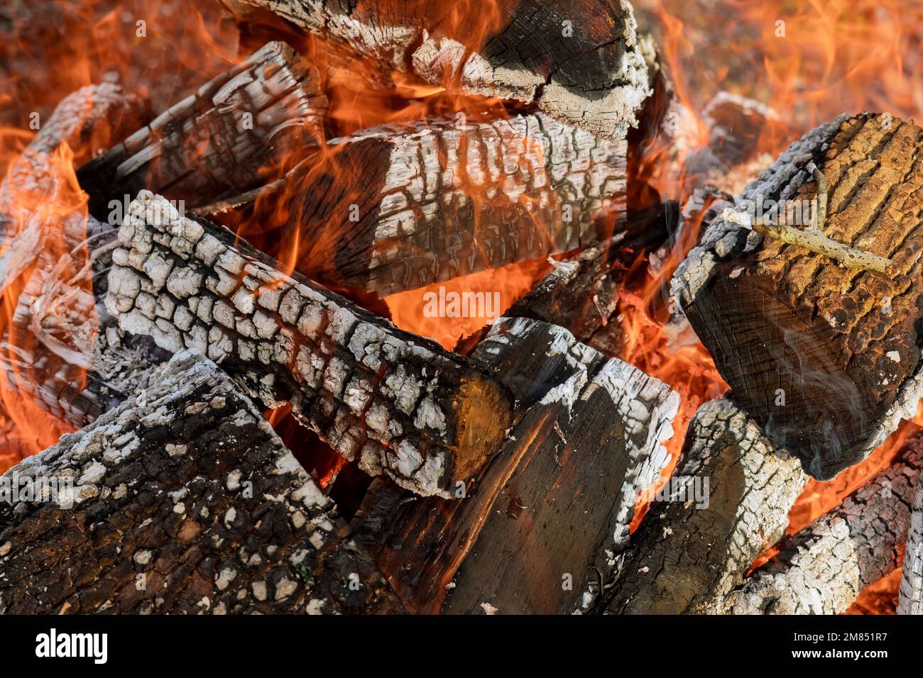 Flames of big bonfire are burning out log embers that are burning on ...