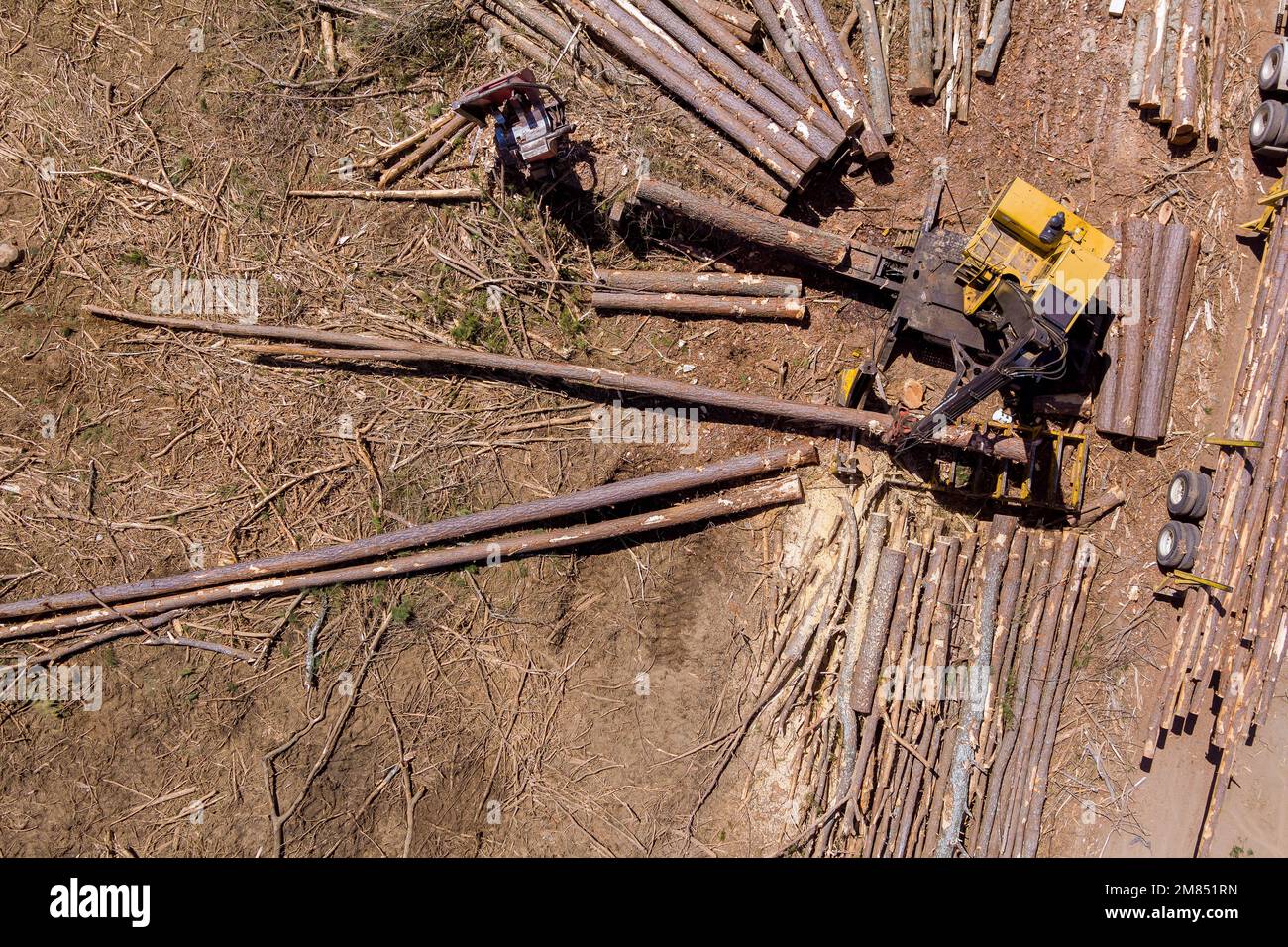 An operator of timber crane loading logs that will be transported to ...