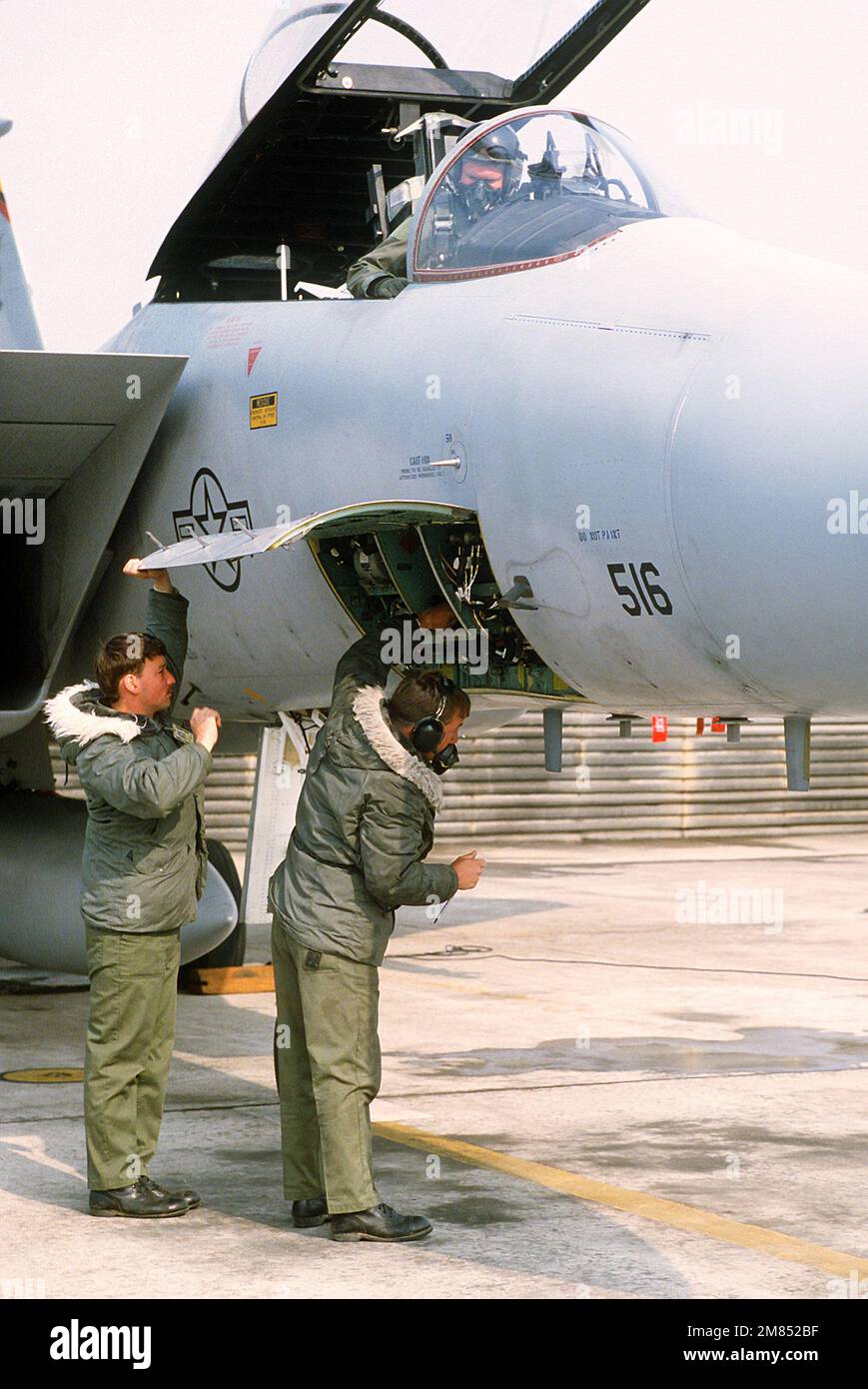 U.S. Air Force technicians service an F-15 Eagle aircraft on the ...