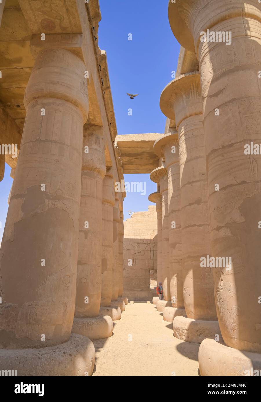 Hypostyl hi-res stock photography and images - Alamy