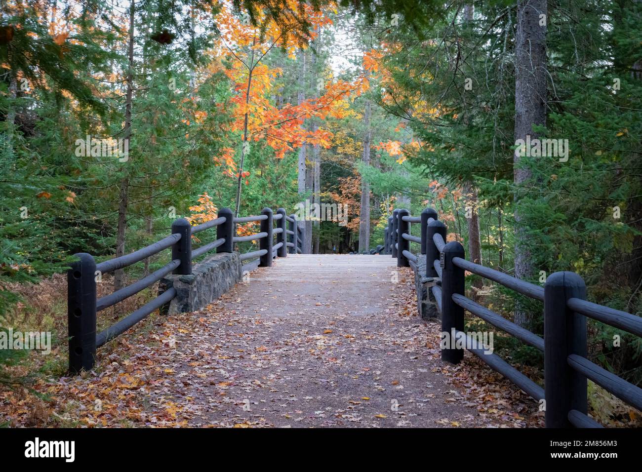 Copperfalls state park near Mellen Wisconsin is a very popular state ...