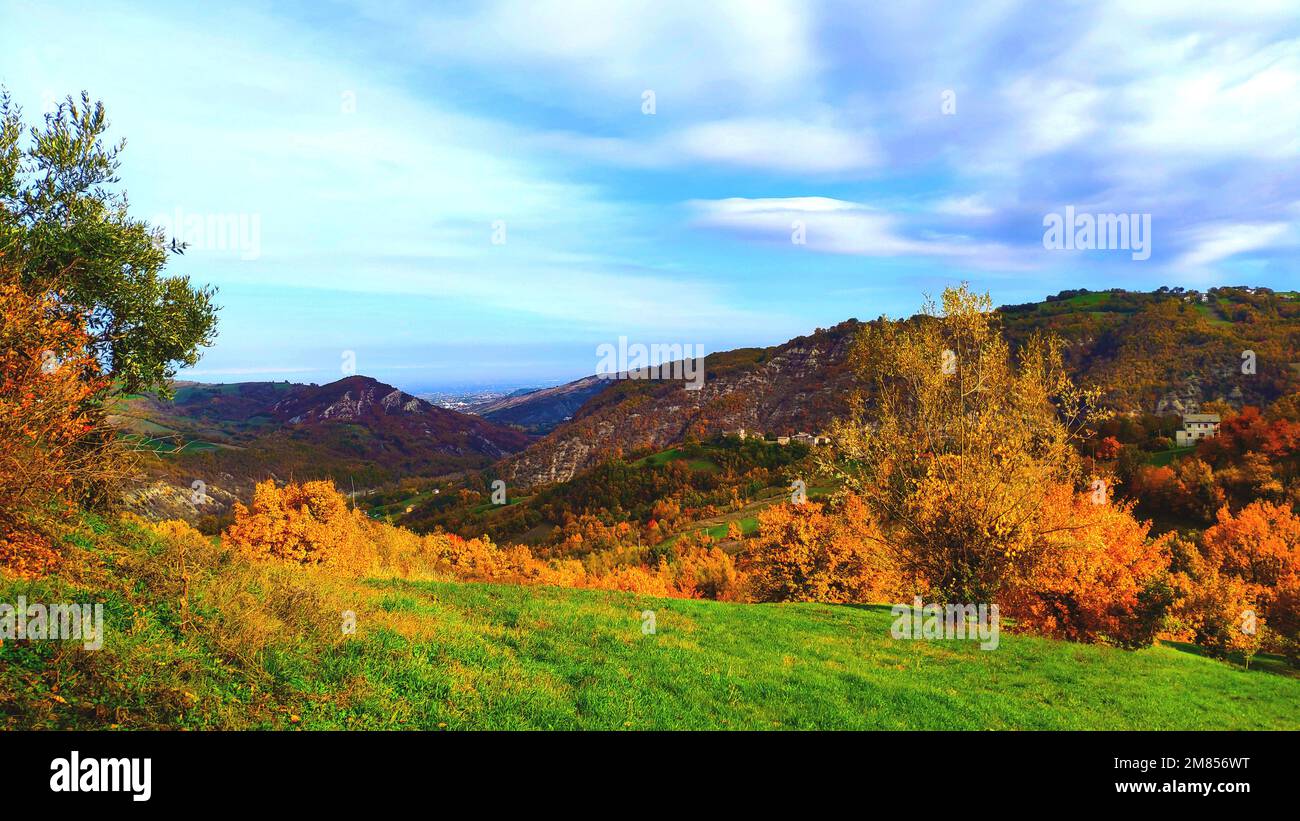 Tuscan forest landscape hi-res stock photography and images - Alamy