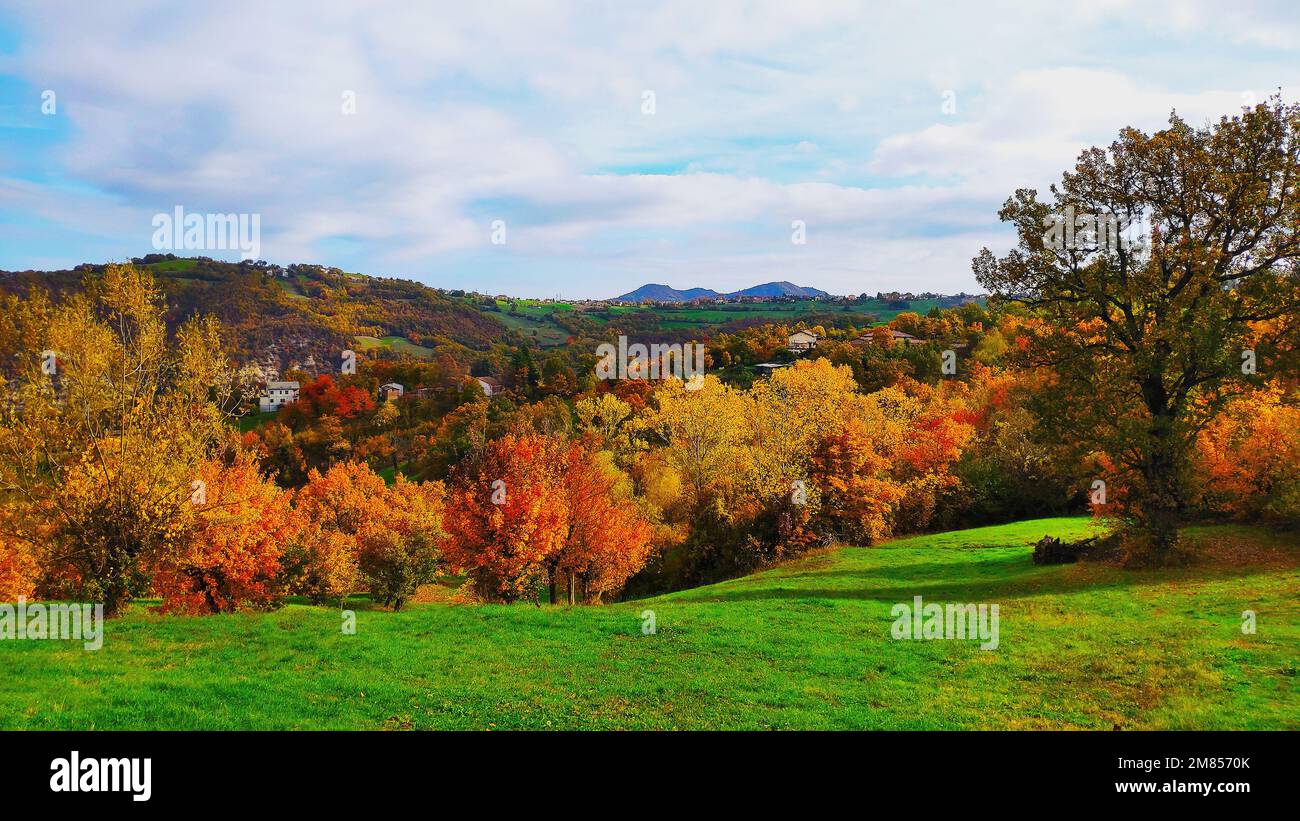 Tuscan forest landscape hi-res stock photography and images - Alamy