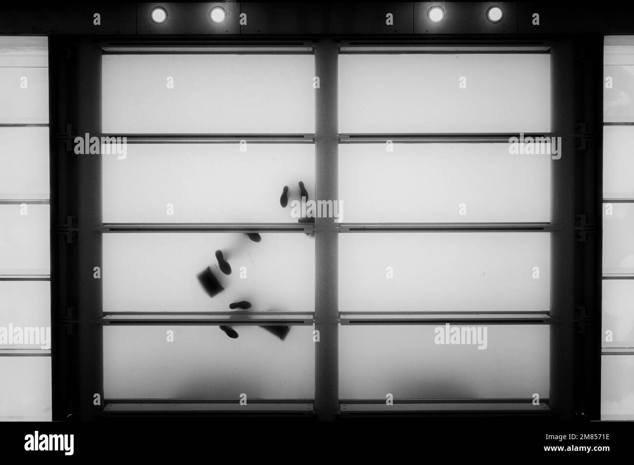 A Low Angle View Of A White Glass Floor In An Elevator With Silhouettes Of Feet Visible Through