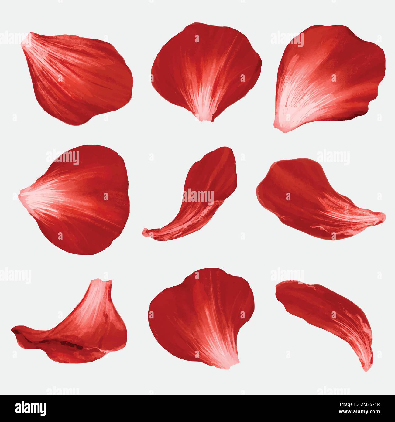 Hand rose petals Stock Vector Images - Alamy