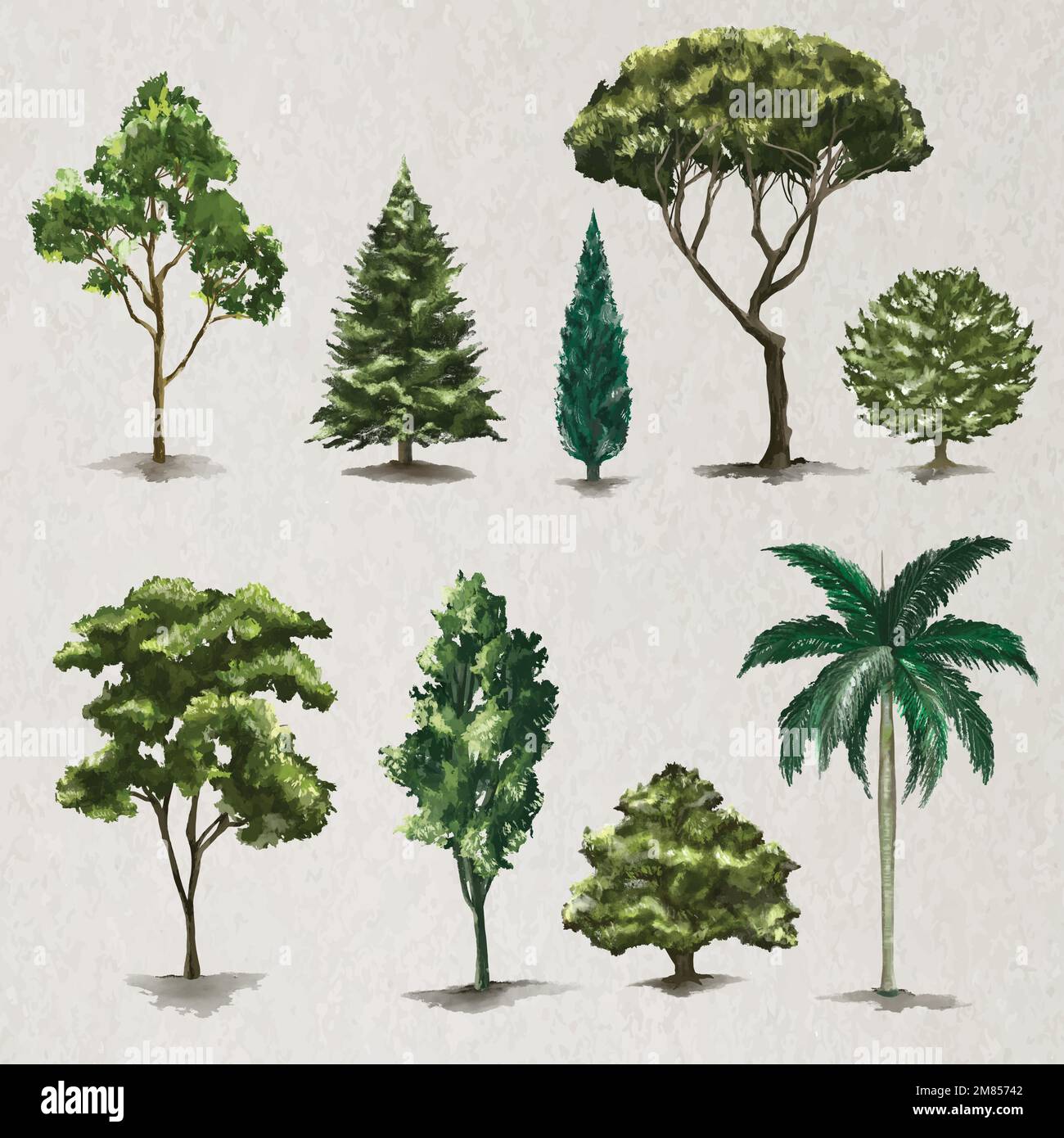 Tree element vector set nature painting Stock Vector Image & Art - Alamy
