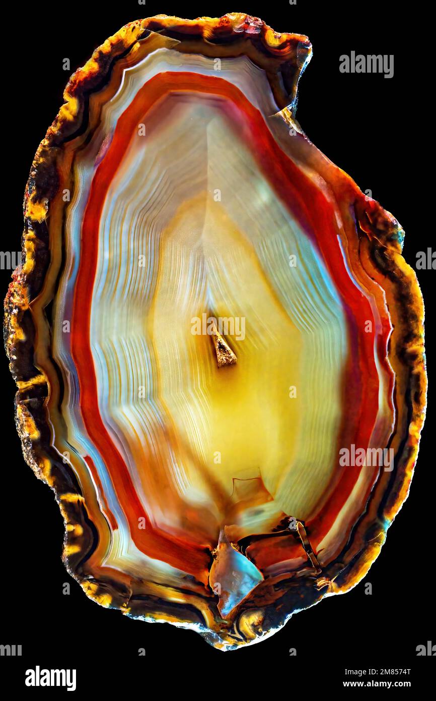 the hidden beauty of a stone. This stone was cut into thin slices and ...