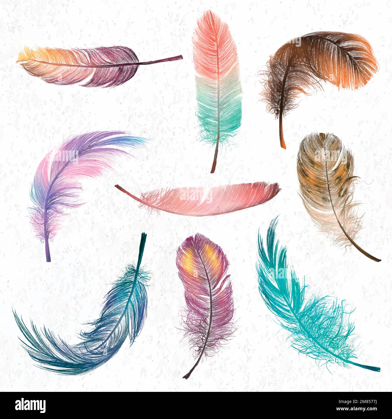 Colorful feather element vector set Stock Vector Image & Art - Alamy