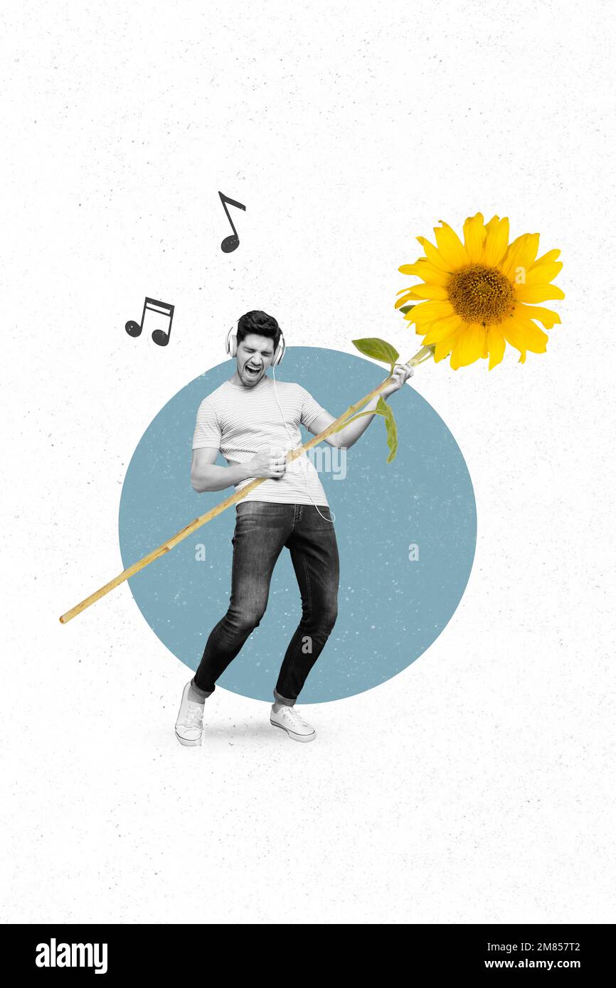 Collage artwork graphics picture of funky cool guy playing sunflower ...