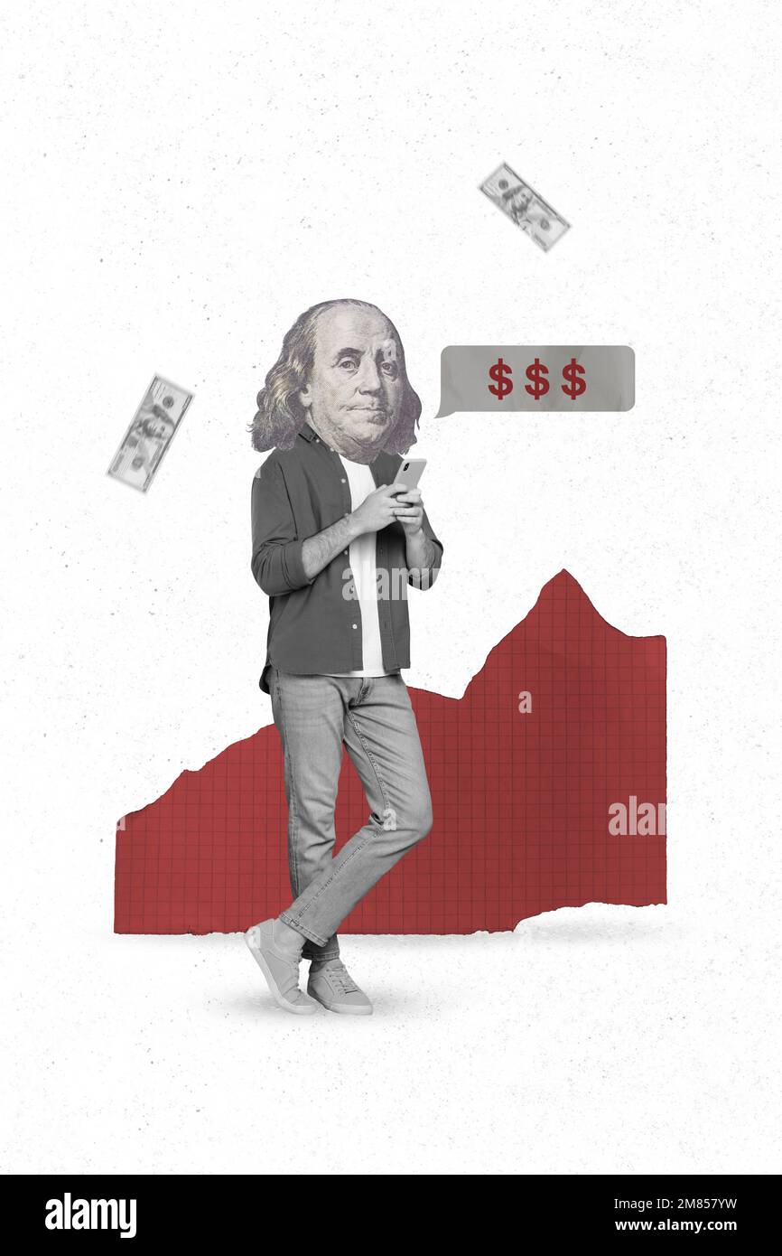 Collage artwork graphics picture of cool funny guy earning money ...