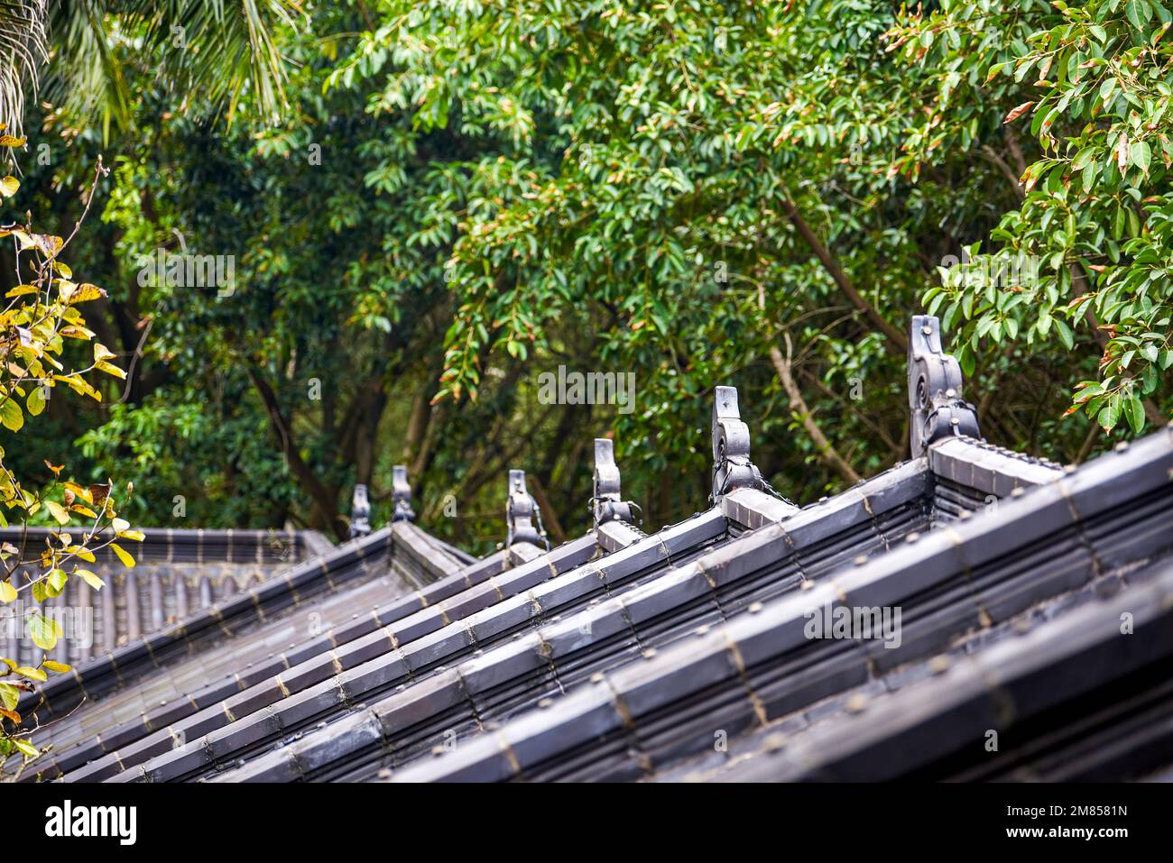 Slanted tile roof of traditional Chinese ancient building Stock Photo ...