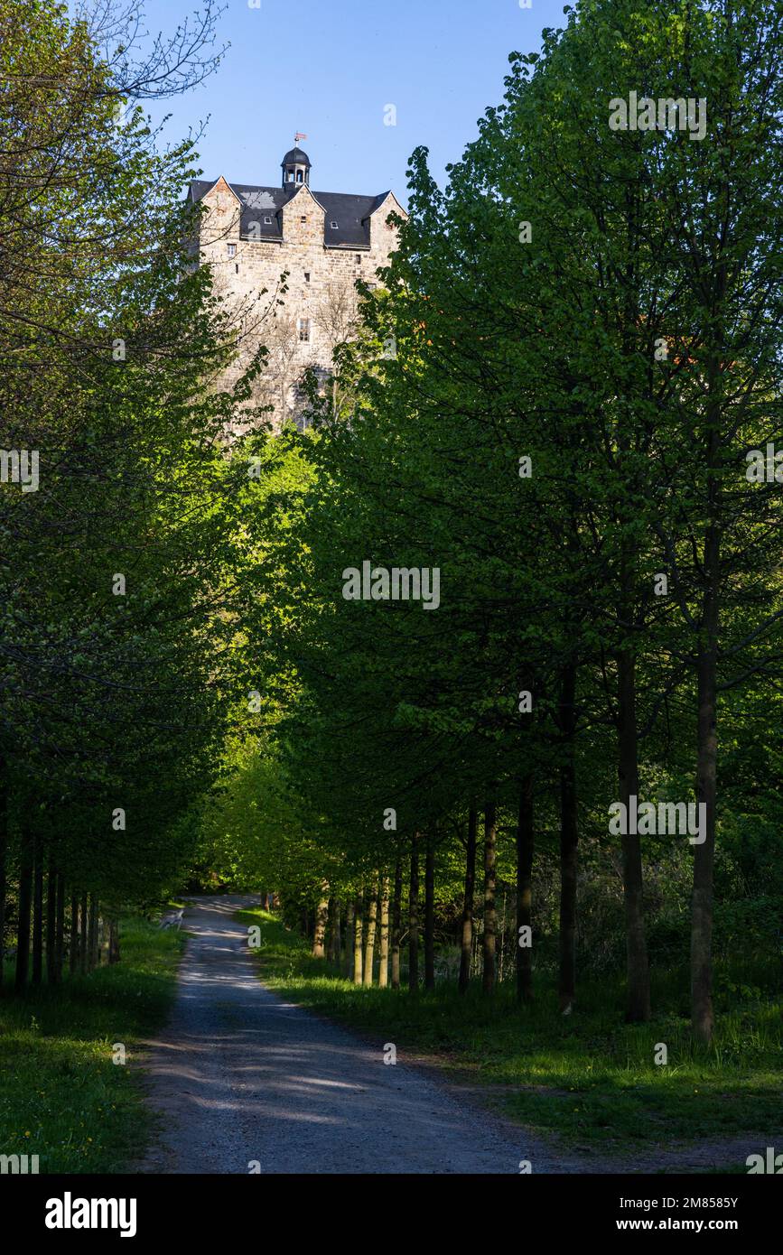 Schlosspark Ballenstedt im Harz Stock Photo - Alamy