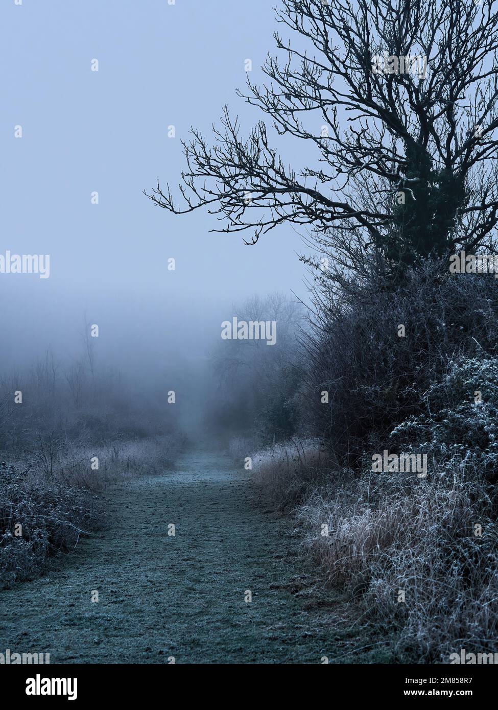 Winter’s arrival in the UK - a path leading to a shrouded horizon with ...