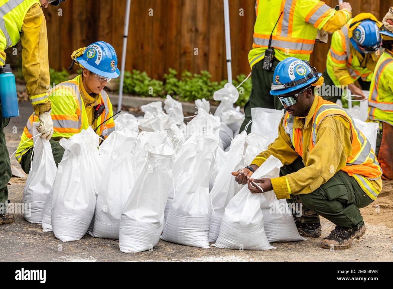 California conservation corps hi-res stock photography and images - Alamy