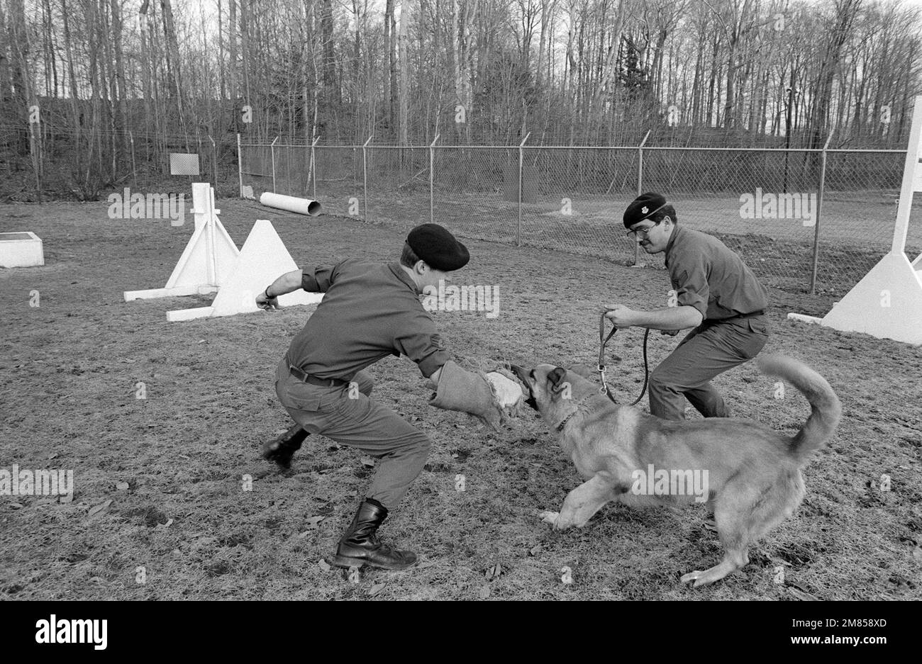 Griffiss hi-res stock photography and images - Alamy