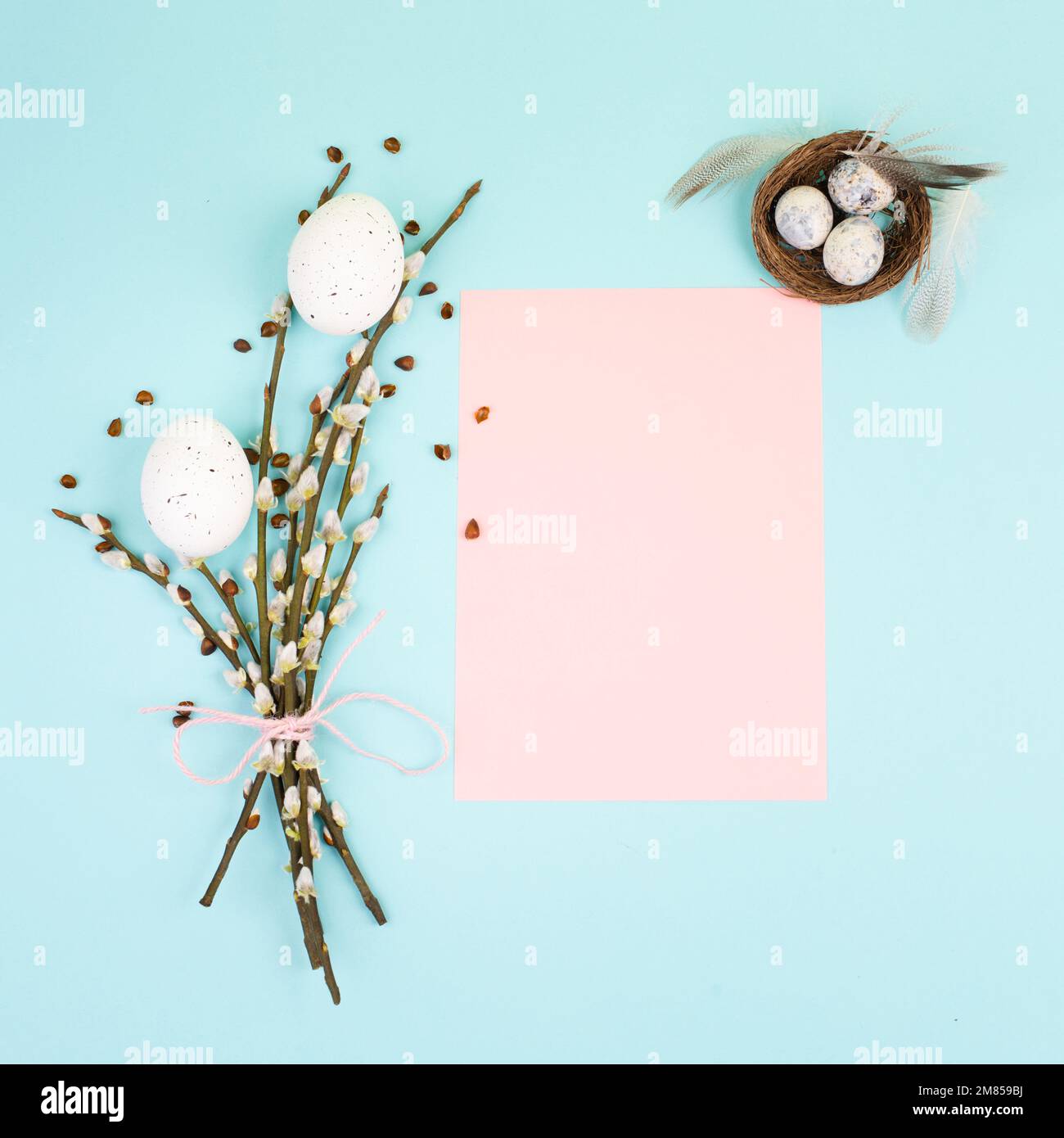 Easter holiday greeting, blank paper, wicker nest with eggs, pussy ...