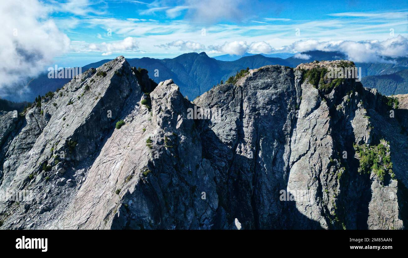 An aerial view of a beautiful forest near the mountains in Vancouver ...