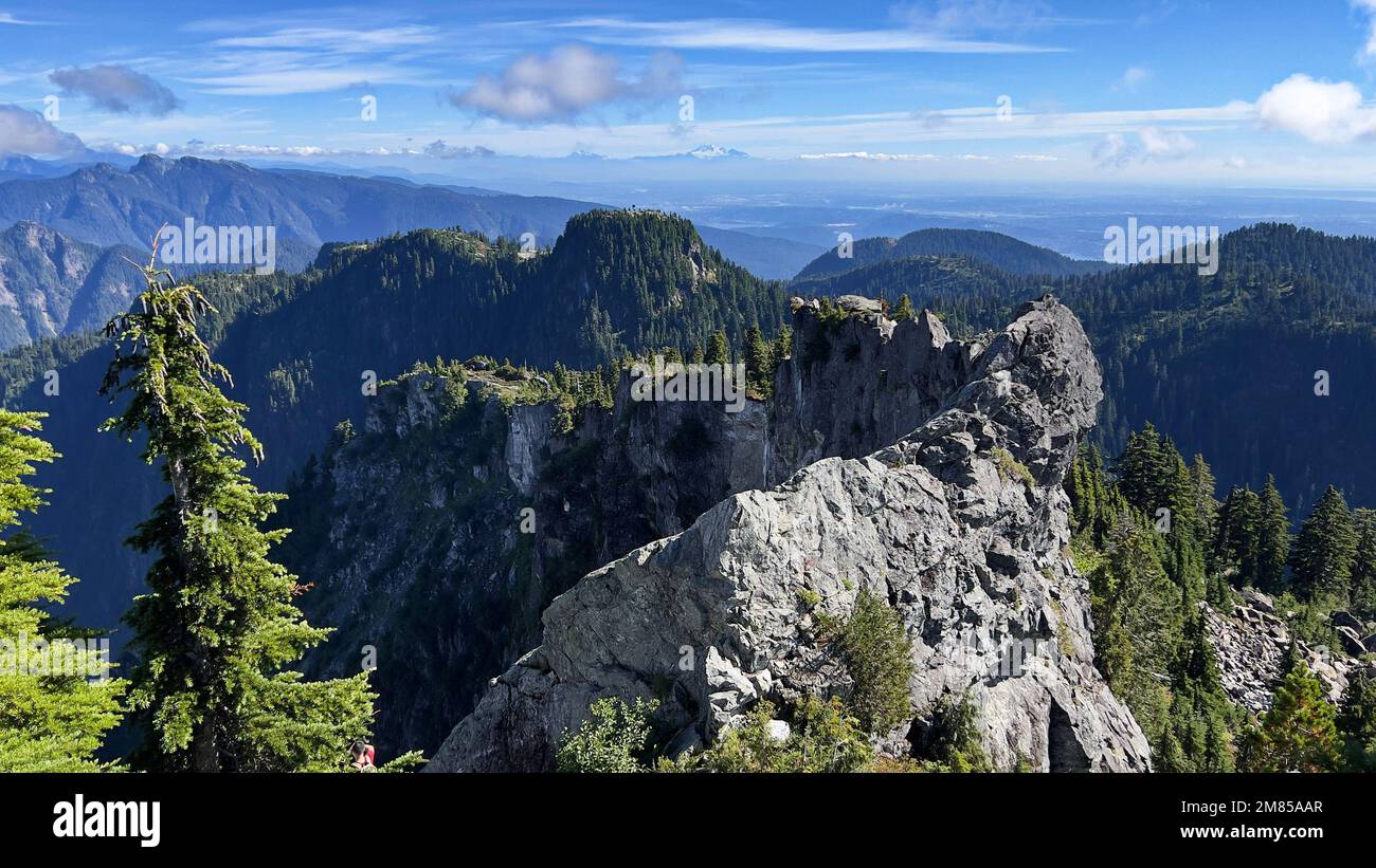 An aerial view of a beautiful forest near the mountains in Vancouver ...