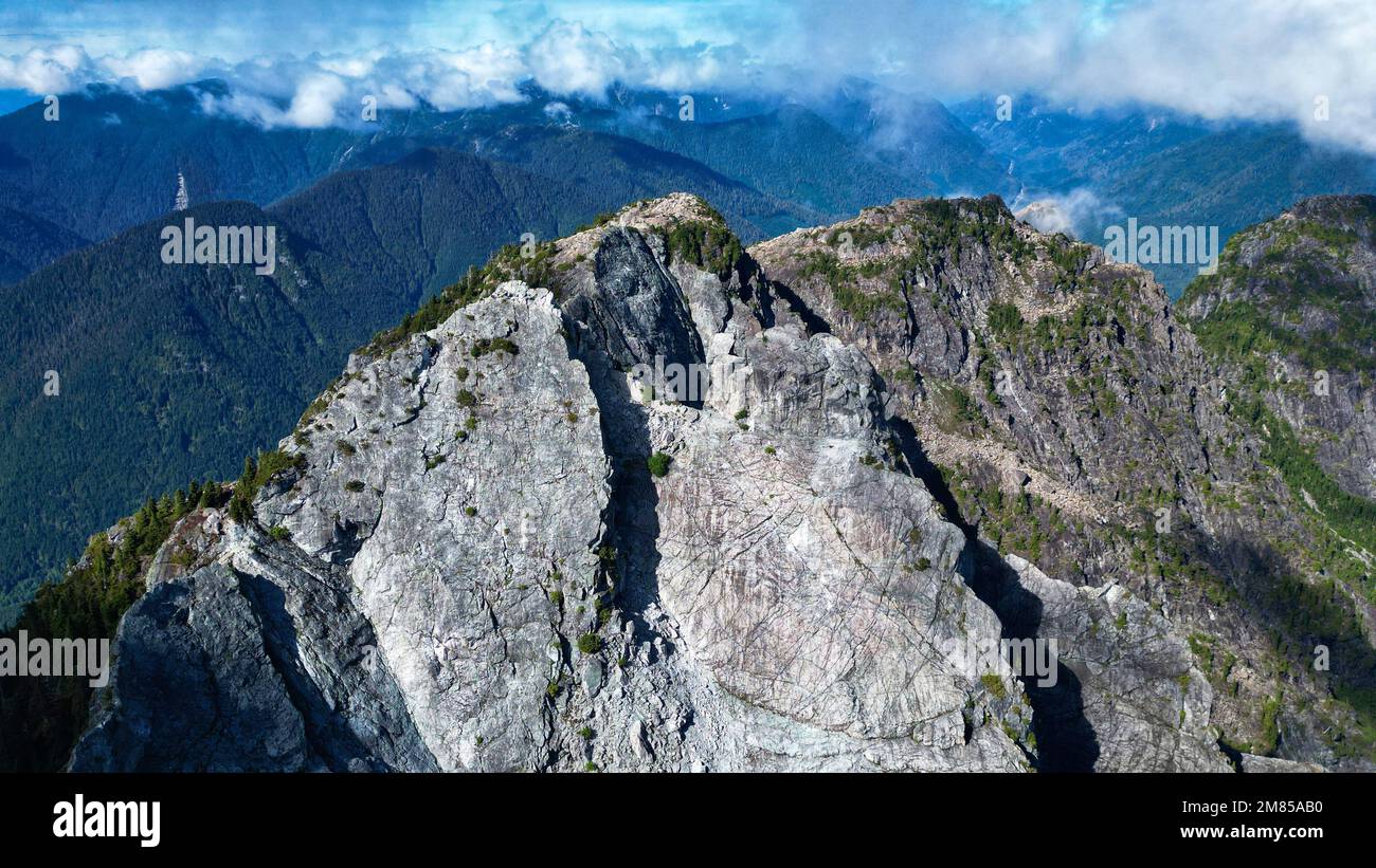 An aerial view of a beautiful forest near the mountains in Vancouver ...