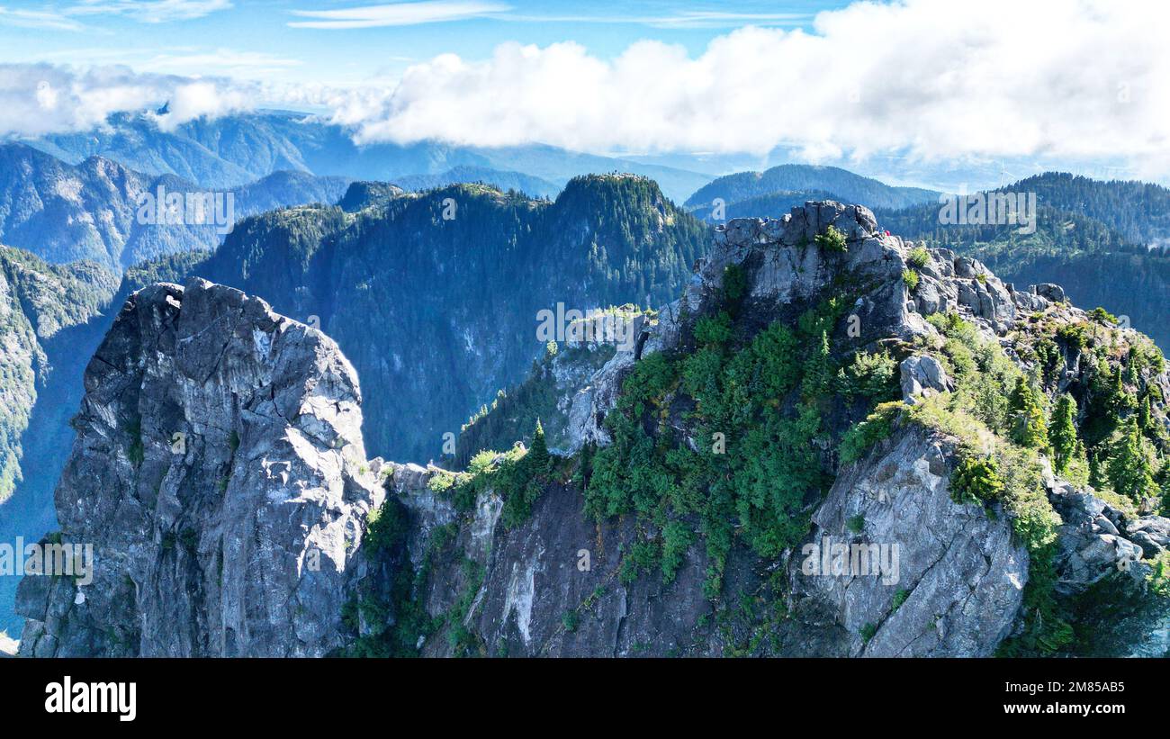 An aerial view of a beautiful forest near the mountains in Vancouver ...