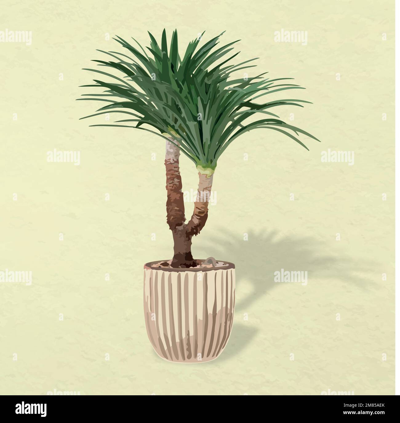 Tree vector art, agave tree in a flower pot Stock Vector Image & Art ...