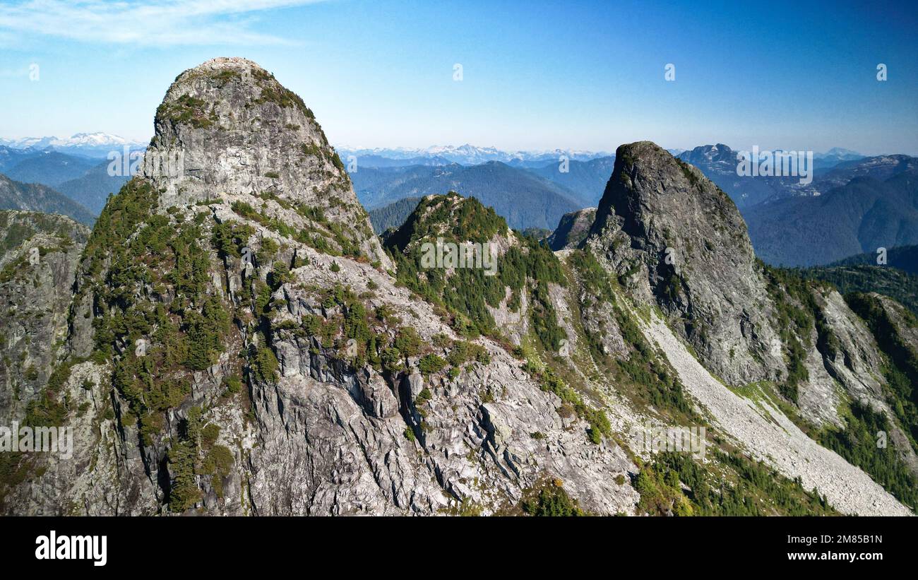 An aerial view of a beautiful forest near the mountains in BC, Canada ...