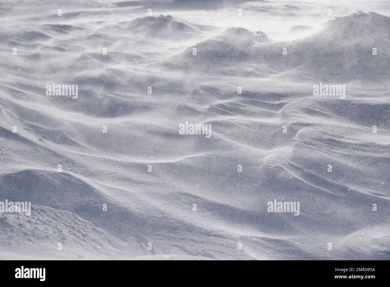 Snow texture, frozen snow formed by a blizzard Stock Photo - Alamy