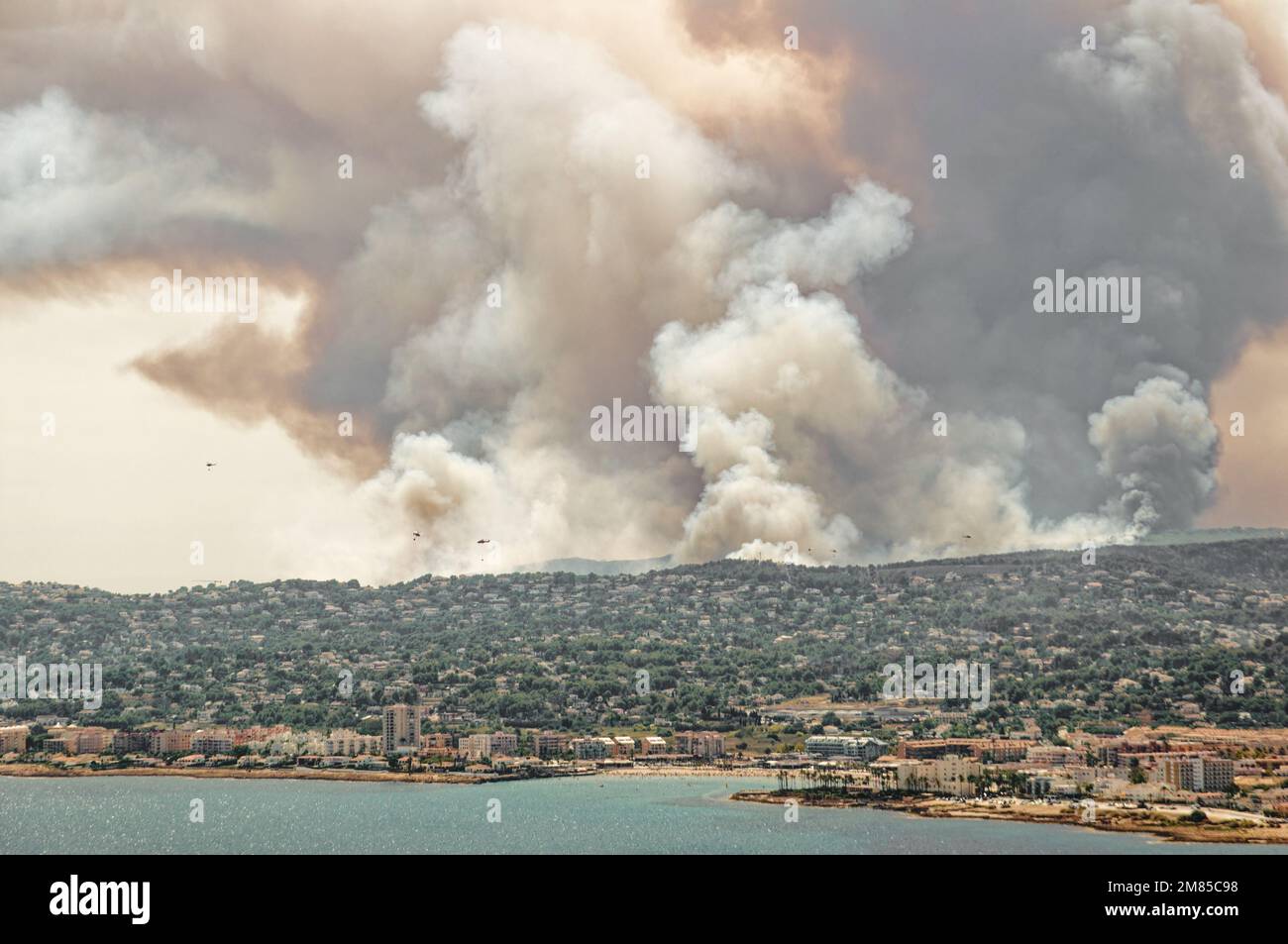 The forest fire near the sea coast in Alicante, Spain Stock Photo - Alamy